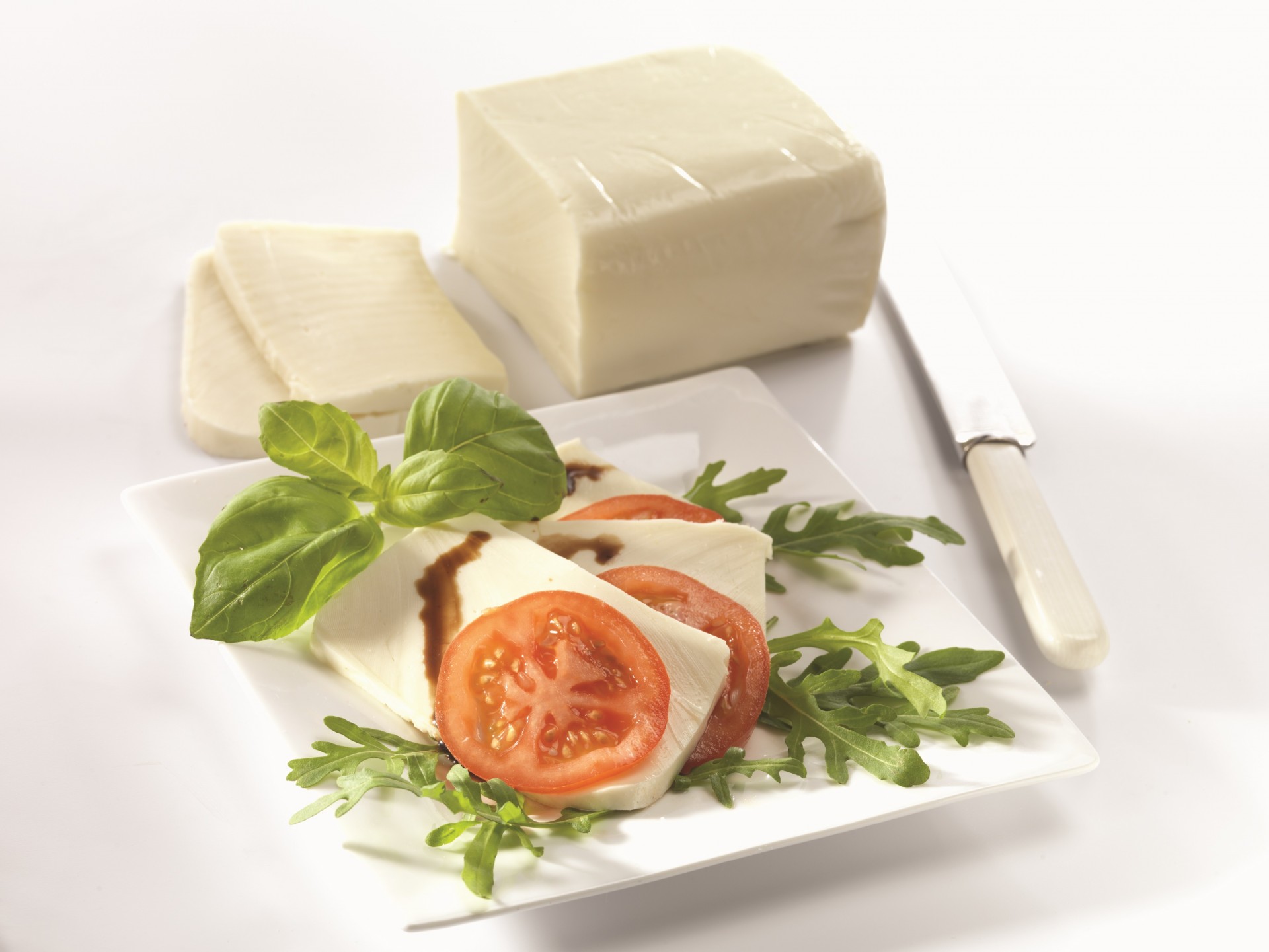 Bulk Buy GALBANI Mozzarella Loaf Wholesale | KFF
