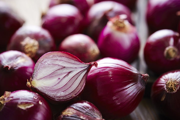 Bulk Buy Red Onions Wholesale | KFF