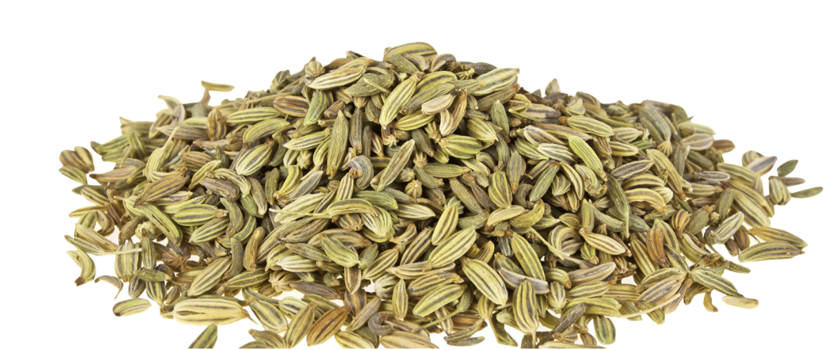 Bulk Buy Fennel Seeds Wholesale | KFF