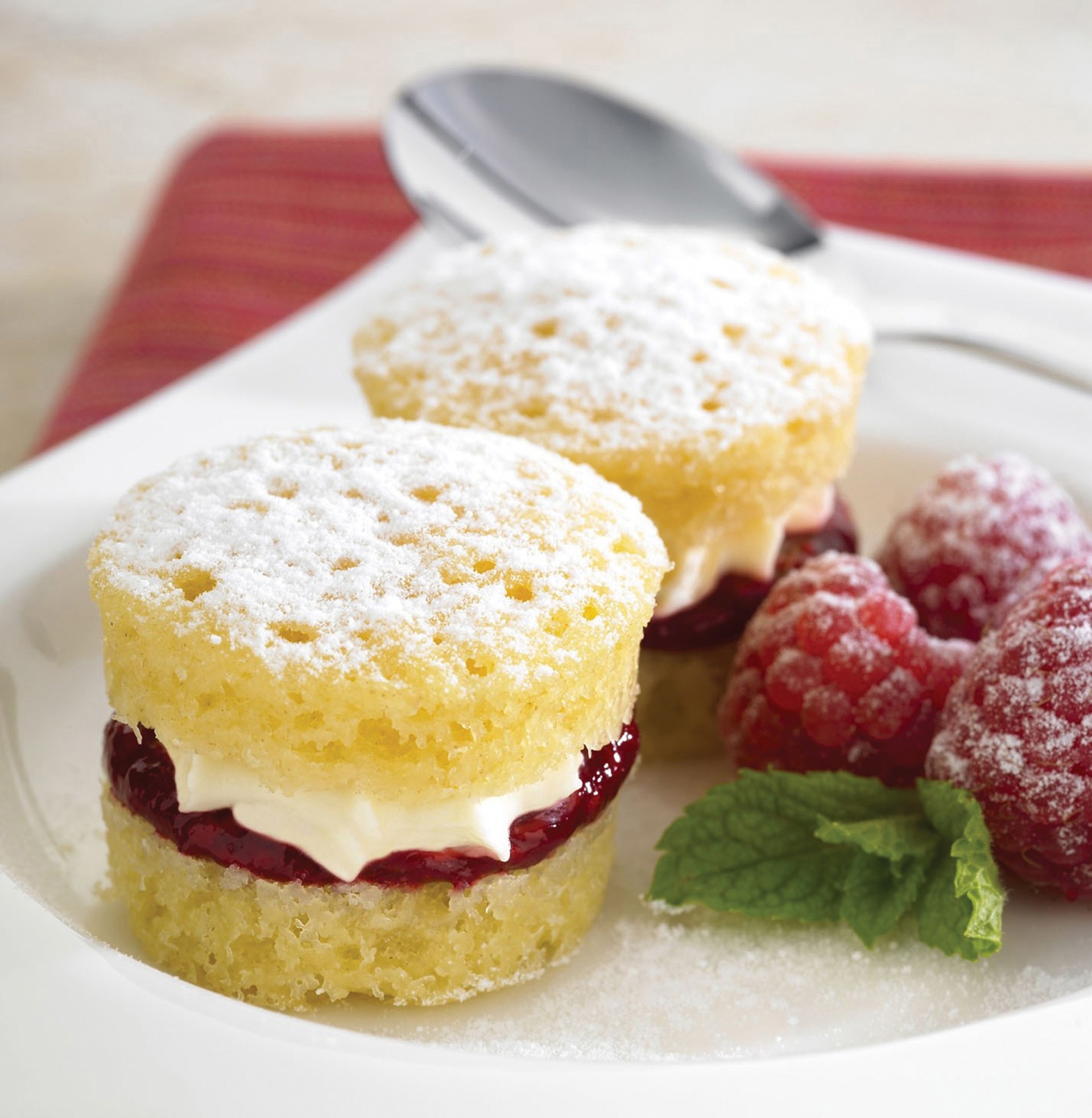 Bulk Buy FRANK DALE Mini Victoria Sponges Wholesale | KFF