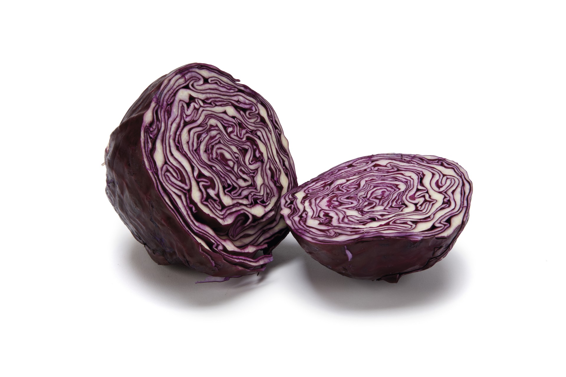 Bulk Buy Red Cabbage Wholesale | KFF