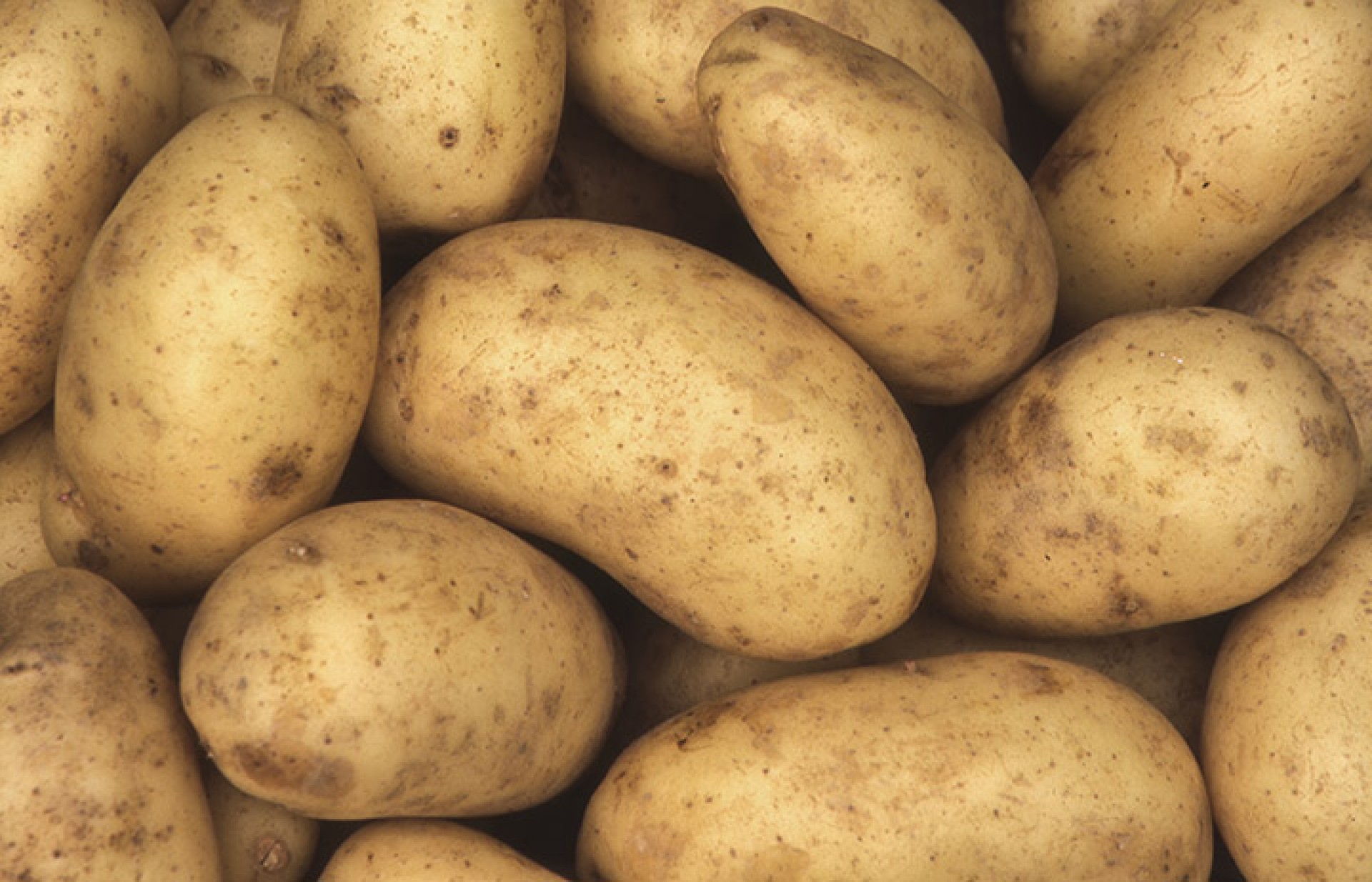 Bulk Buy Baking Potatoes (50s) Wholesale | KFF