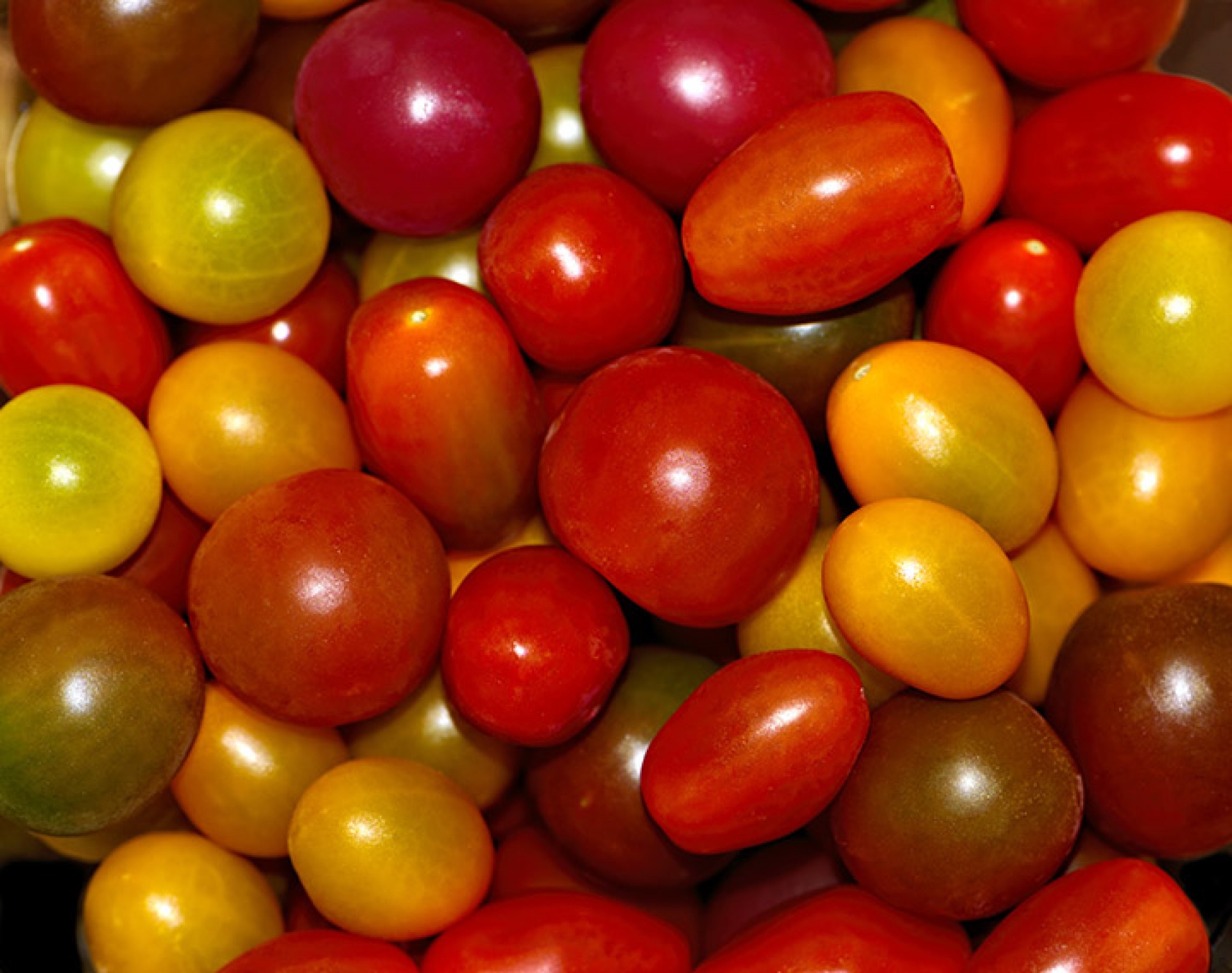 Bulk Buy Cherry Tomatoes Wholesale | KFF