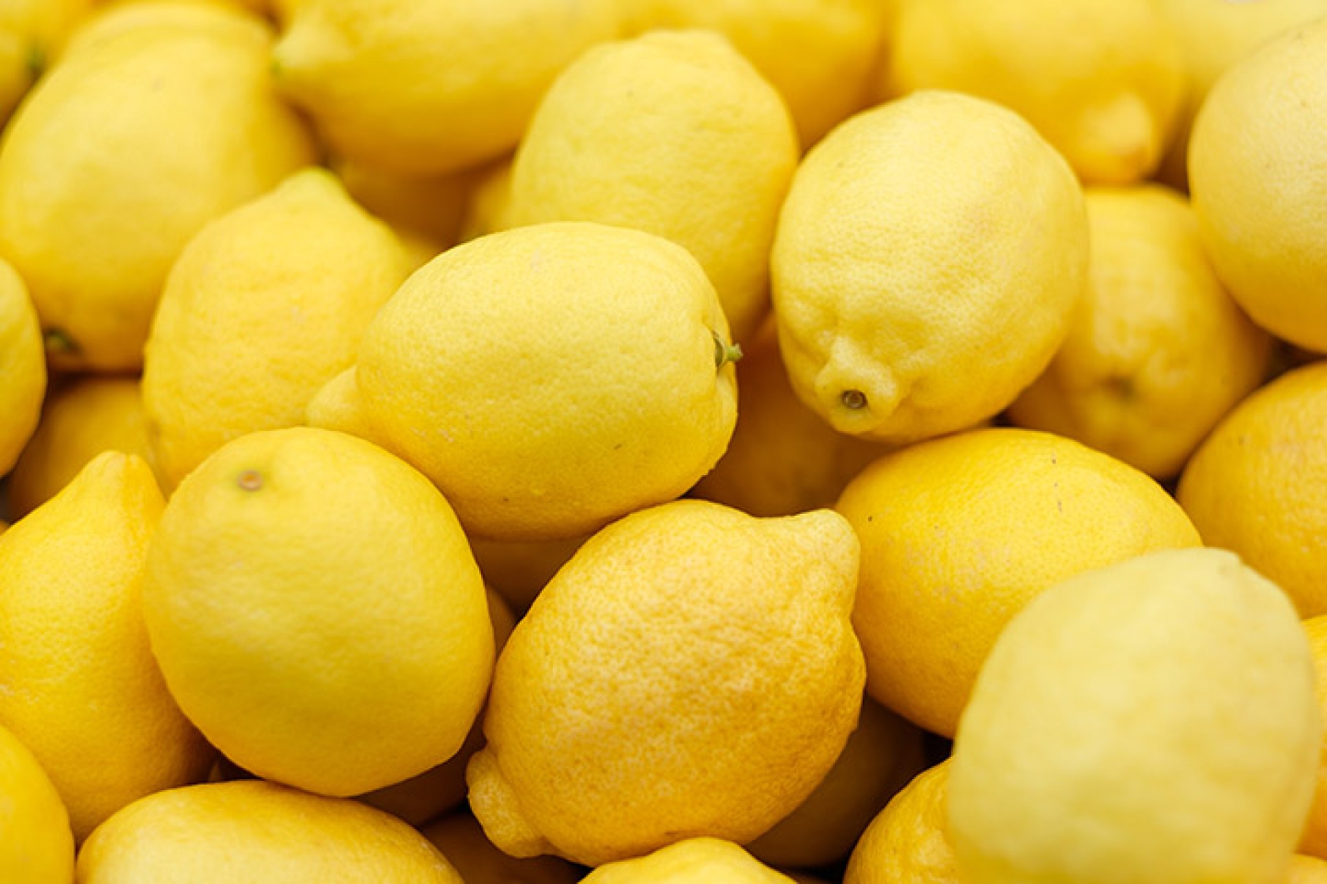 Bulk Buy Lemons Wholesale | KFF