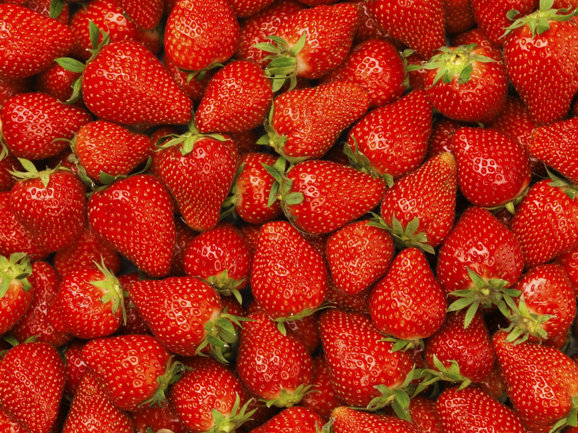 Bulk Buy Strawberries Wholesale | KFF