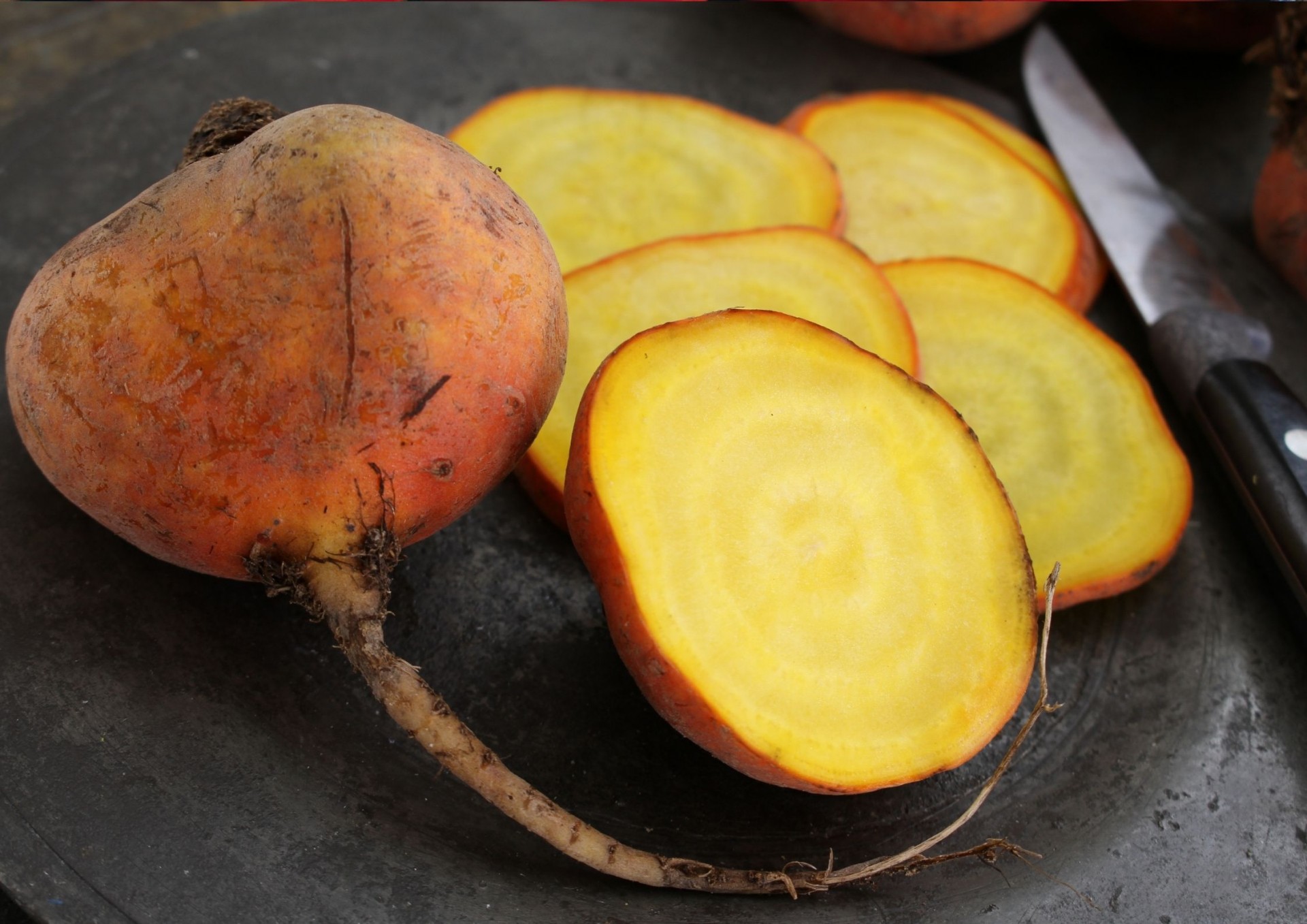 Bulk Buy Golden Beetroot Wholesale | KFF