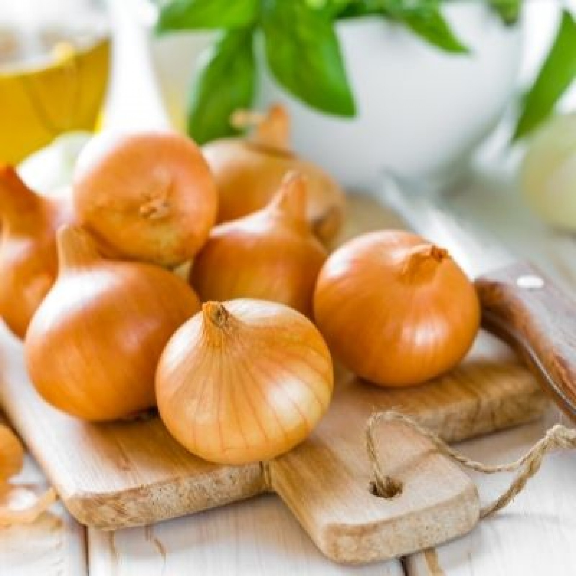Bulk Buy Large Onions Wholesale | KFF