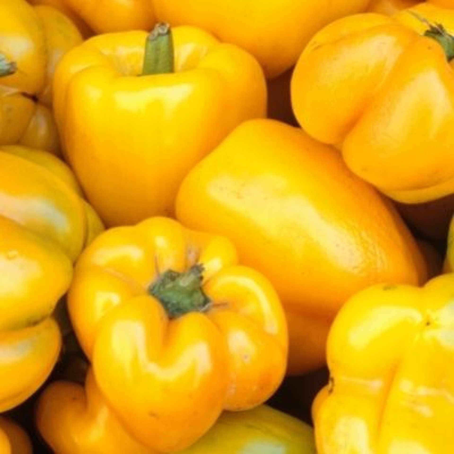 Bulk Buy Yellow Pepper Wholesale | KFF