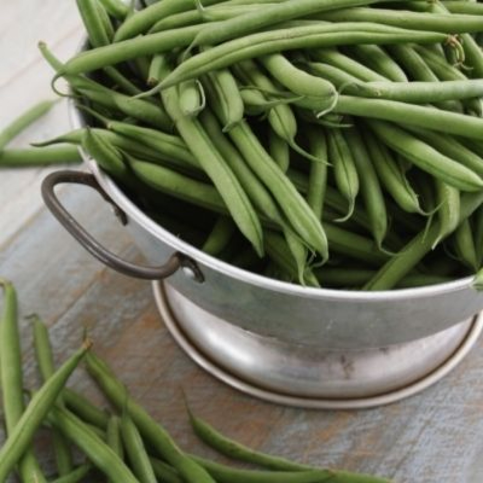 Bulk Buy Fine Kenya Beans Wholesale | KFF