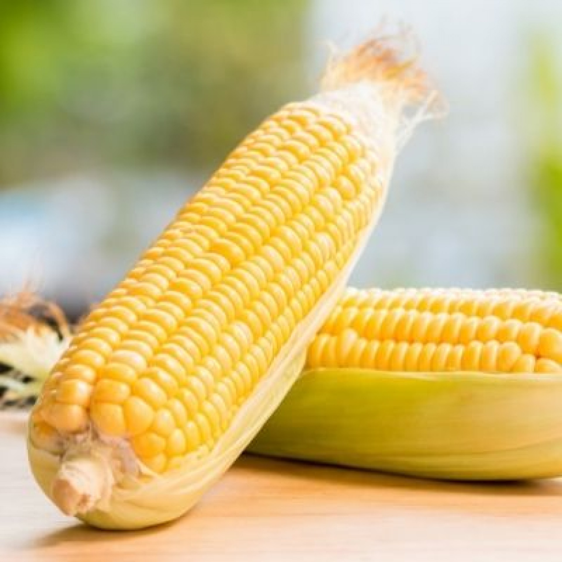 Bulk Buy Sweetcorn - Twin Pack Wholesale | KFF