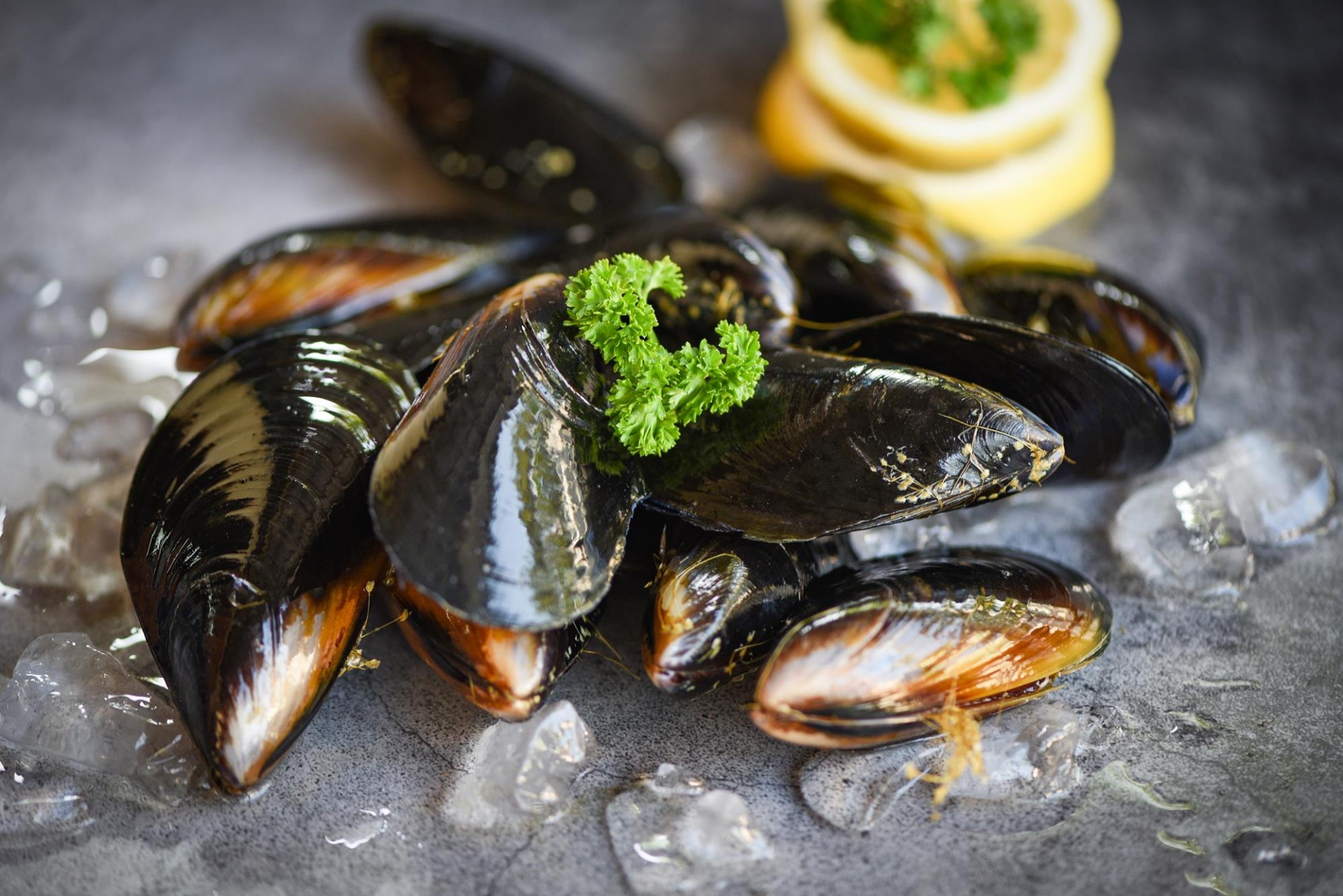 Bulk Buy Scottish Mussels (Rope Grown) Wholesale | KFF