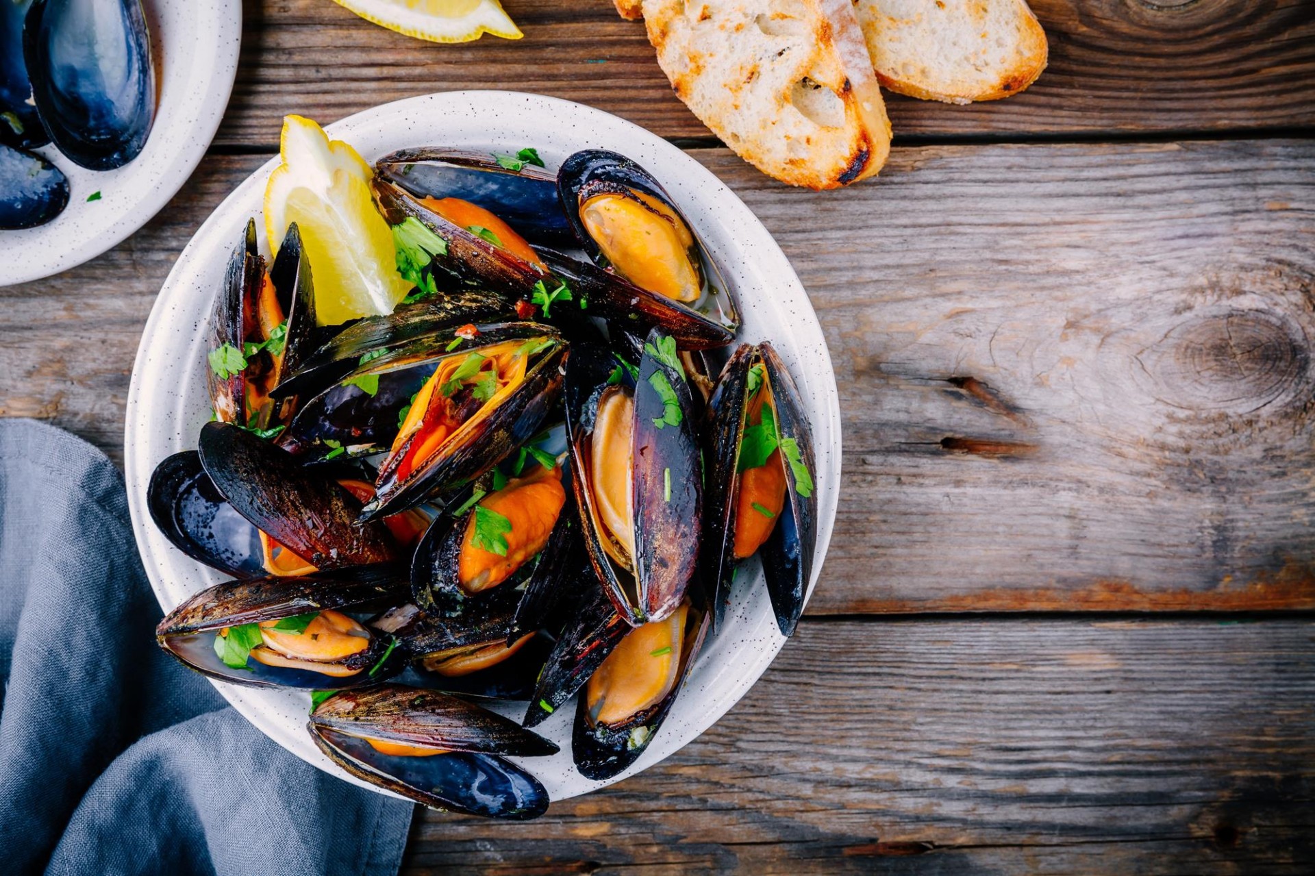 Bulk Buy Scottish Mussels (Rope Grown) Wholesale | KFF