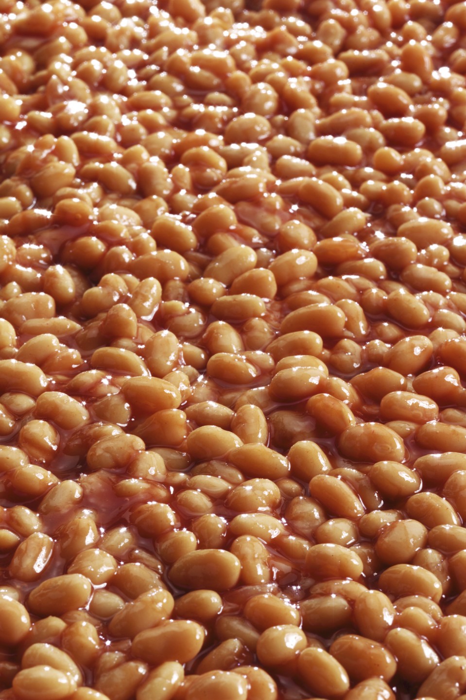 Bulk Buy Baked Beans Wholesale | KFF