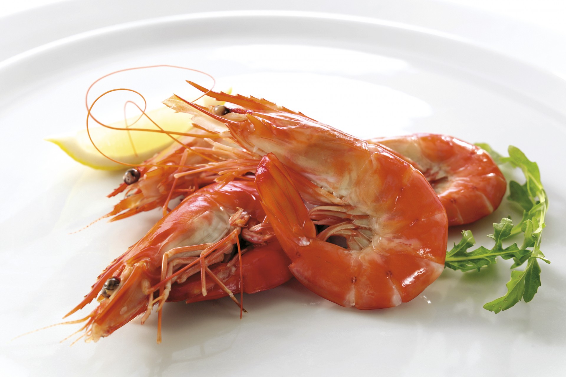 Bulk Buy OCEAN PEARL Whole King Prawns 21/30 Wholesale | KFF
