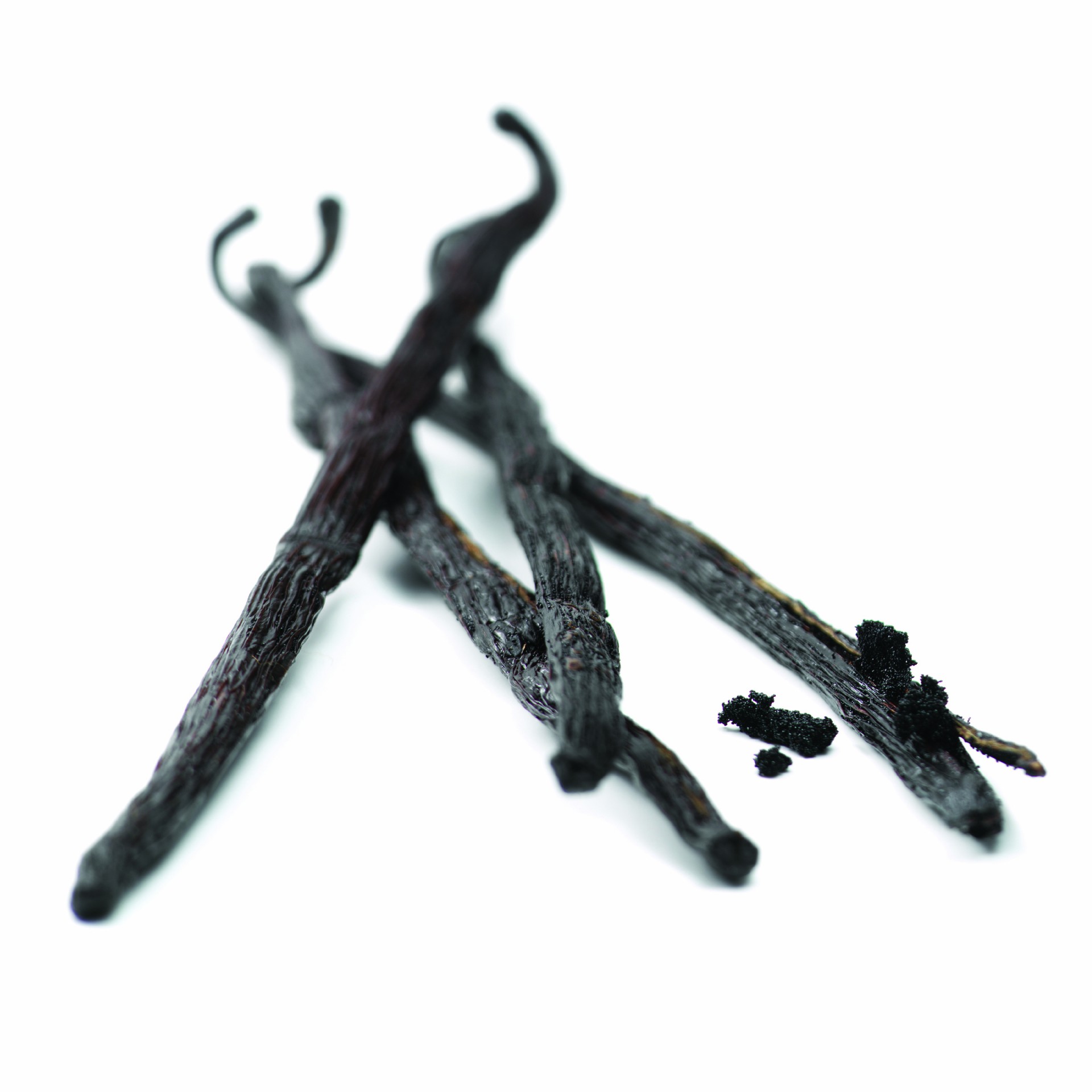 Bulk Buy Vanilla Pods Wholesale | KFF