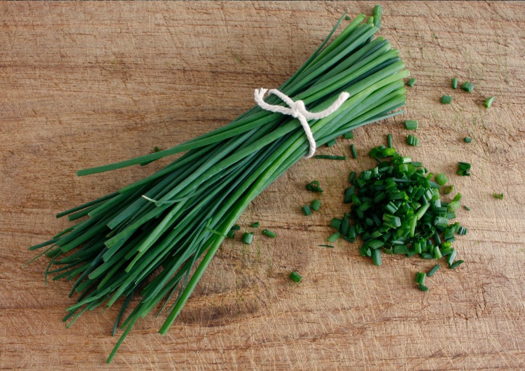 Bulk Buy Chives Wholesale | KFF