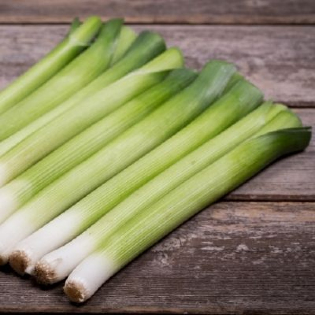 Bulk Buy Baby Leek Wholesale | KFF