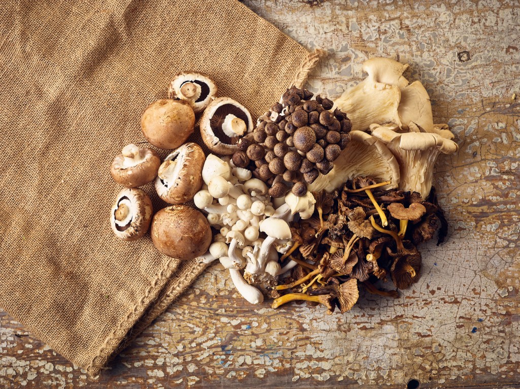 Bulk Buy Wild Mushroom Mix Wholesale | KFF