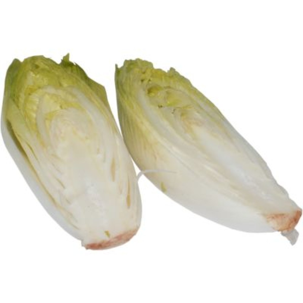 Bulk Buy White Chicory Wholesale | KFF